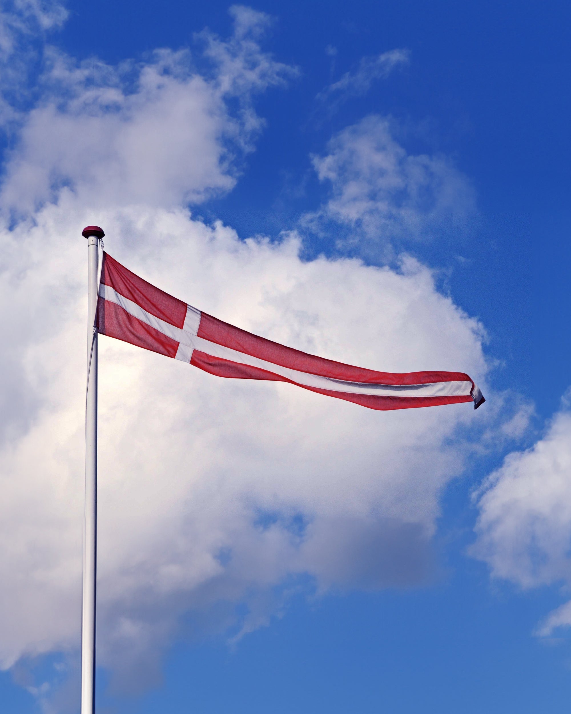 Flagstænger, træflagstænger og service i topklasse - Flagstang.dk