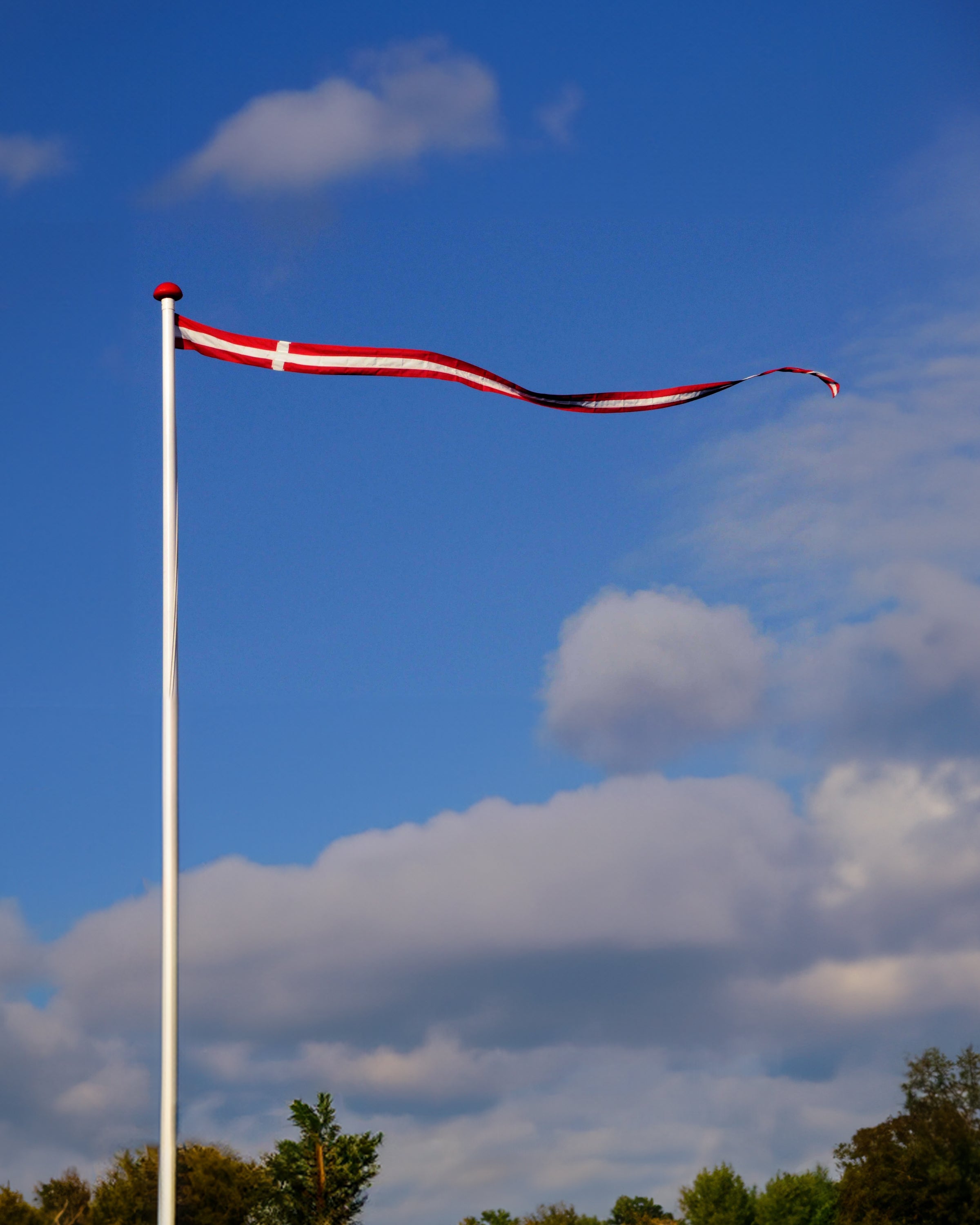 Flagstænger, træflagstænger og service i topklasse - Flagstang.dk